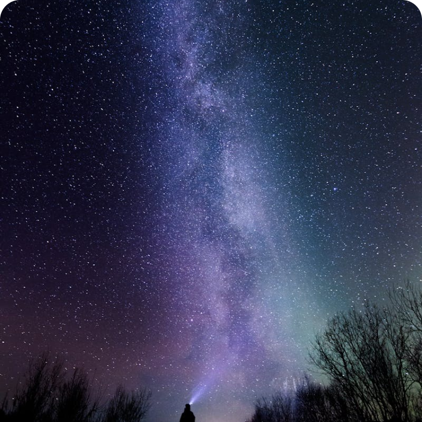 SFT Protocol - Full-Chain Value Capture Platform